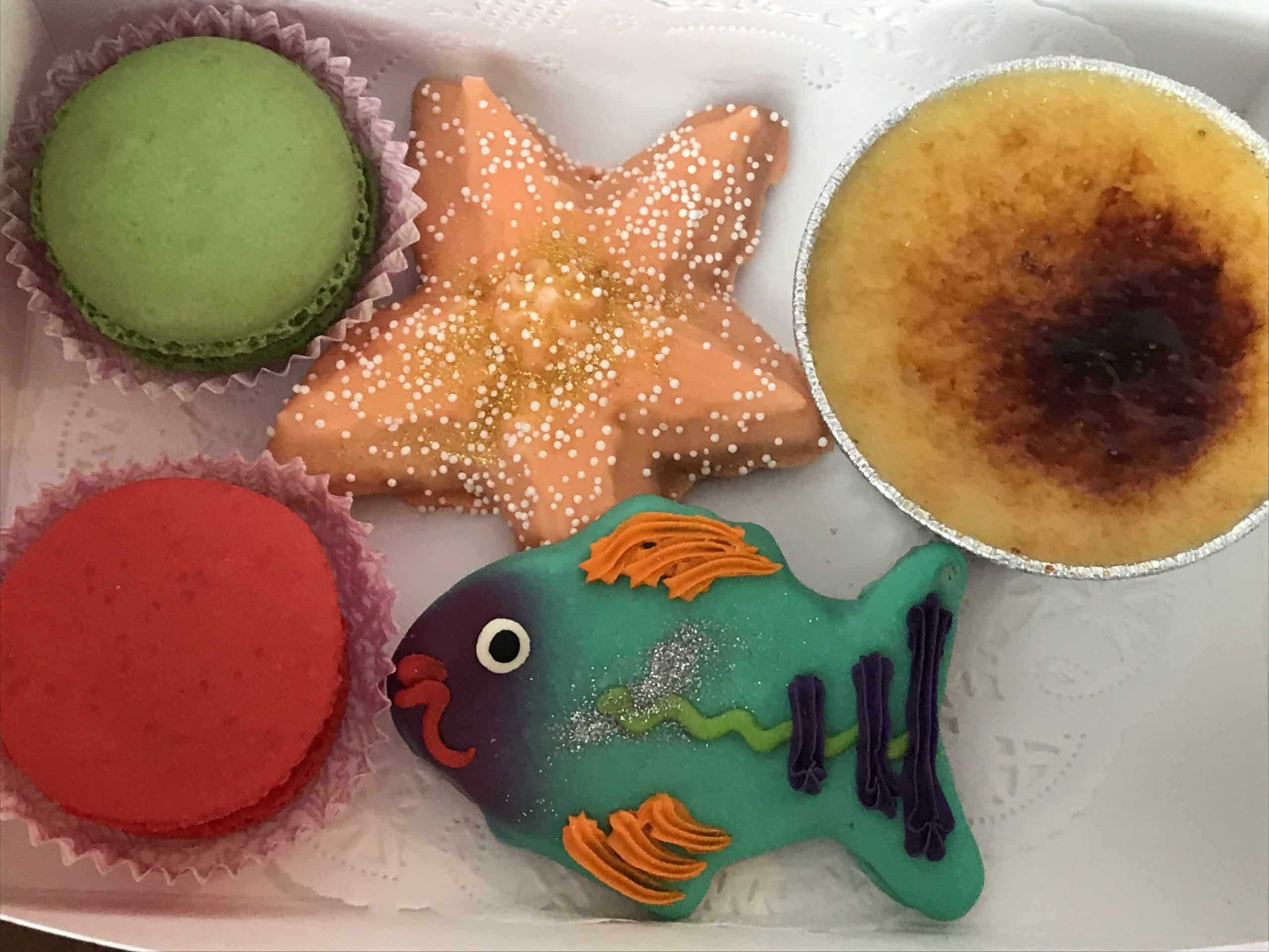 Lily Pad Play – Cincinnati Playground Review