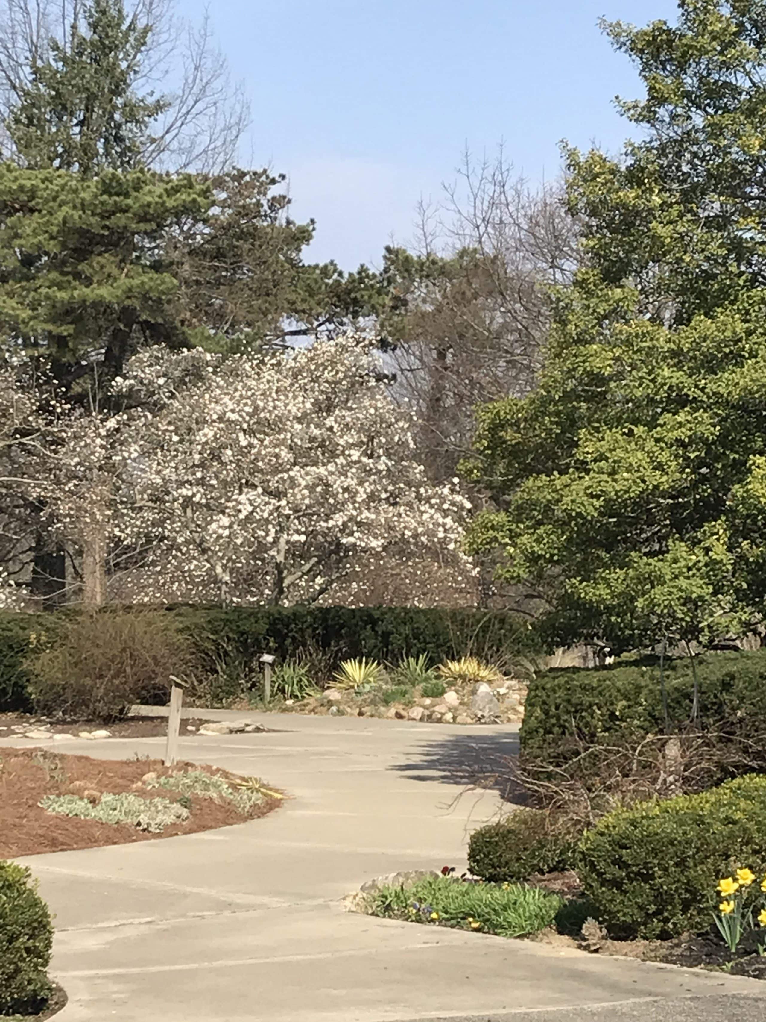 Ault Park – Cincinnati Playground Review